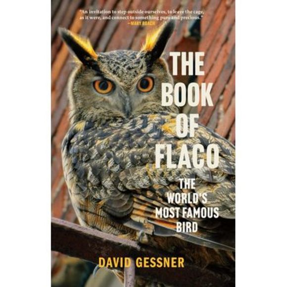 David Gessner | Other | The Book Of Flaco The Worlds Most Famous Bird ...